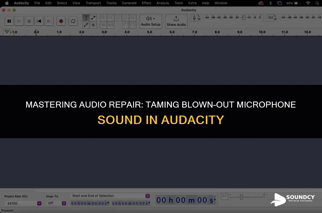 Mastering Audio Repair: Taming Blown-Out Microphone Sound In Audacity ...