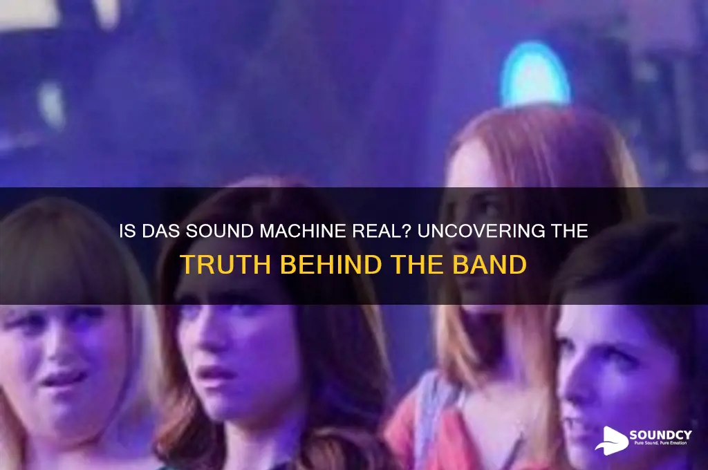 Is Das Sound Machine Real? Uncovering The Truth Behind The Band | SoundCy