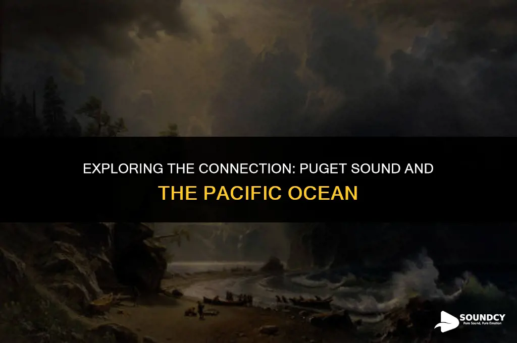 Exploring The Connection: Puget Sound And The Pacific Ocean | SoundCy