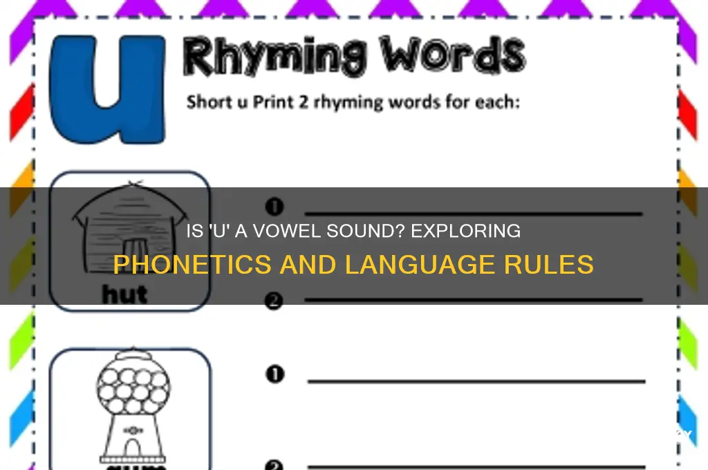 Is 'U' A Vowel Sound? Exploring Phonetics And Language Rules | SoundCy