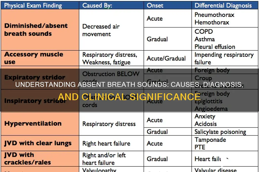 Understanding Absent Breath Sounds: Causes, Diagnosis, And Clinical ...