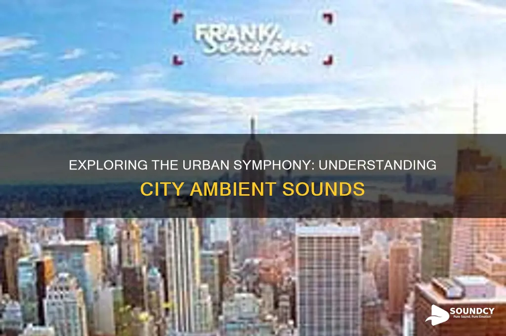 Exploring The Urban Symphony: Understanding City Ambient Sounds | SoundCy