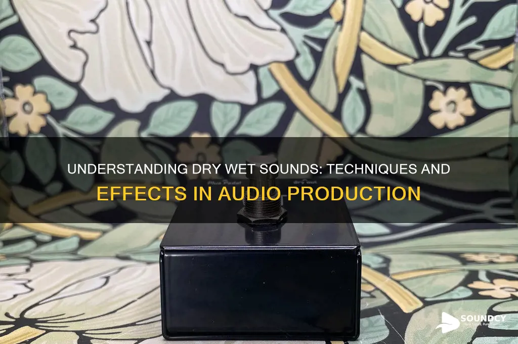 Understanding Dry Wet Sounds: Techniques And Effects In Audio ...