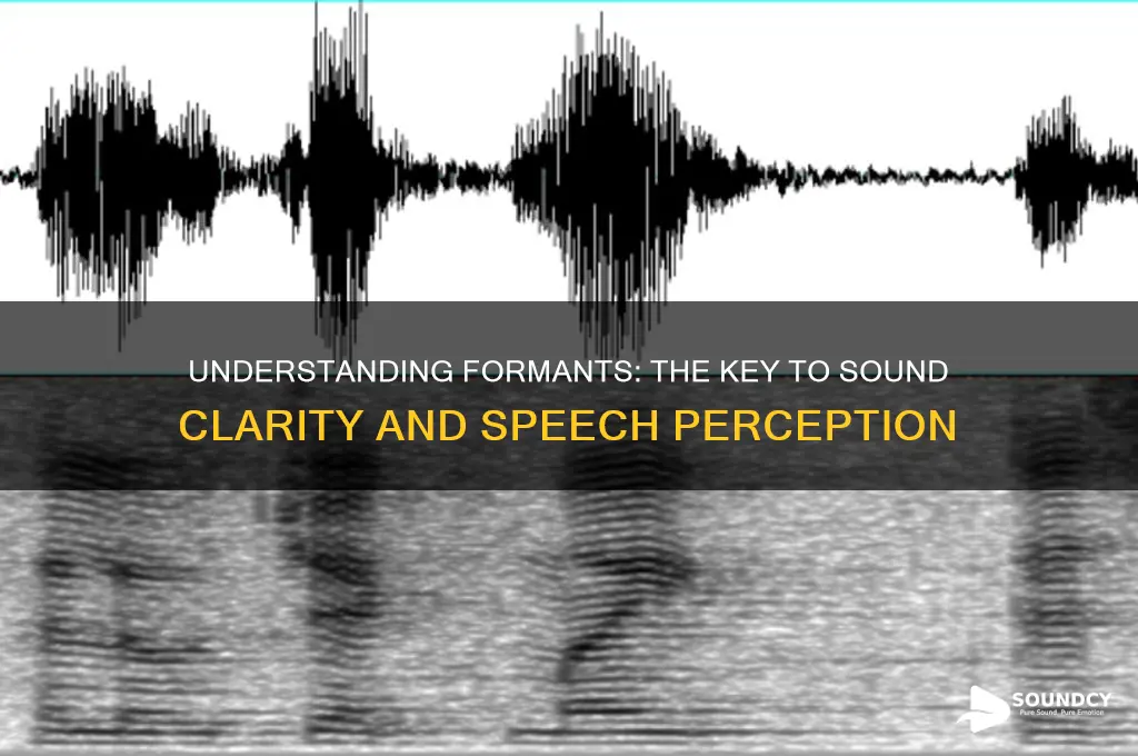 Understanding Formants: The Key To Sound Clarity And Speech Perception ...