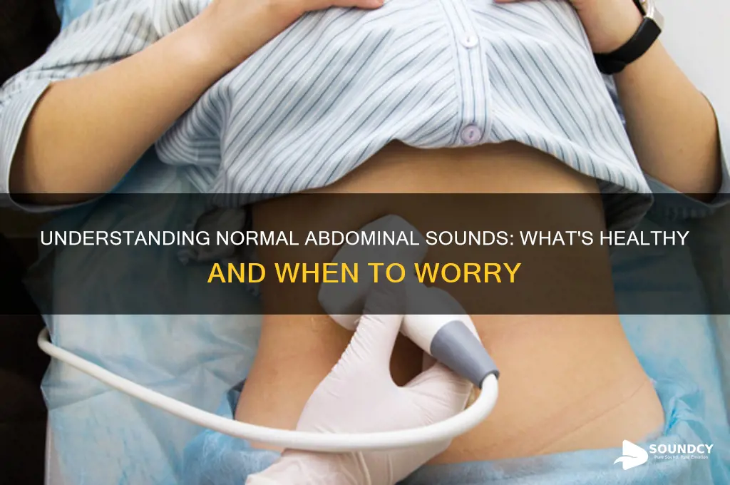 Understanding Normal Abdominal Sounds: What's Healthy And When To Worry ...