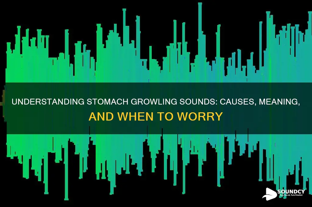 Understanding Stomach Growling Sounds: Causes, Meaning, And When To ...