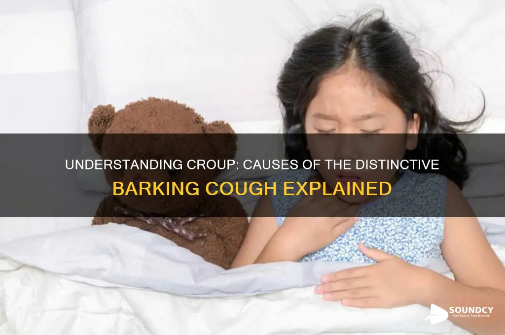 Understanding Croup: Causes Of The Distinctive Barking Cough Explained ...