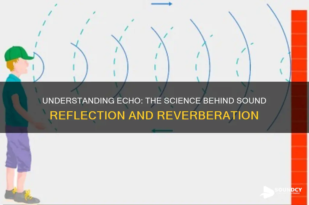 Understanding Echo: The Science Behind Sound Reflection And ...