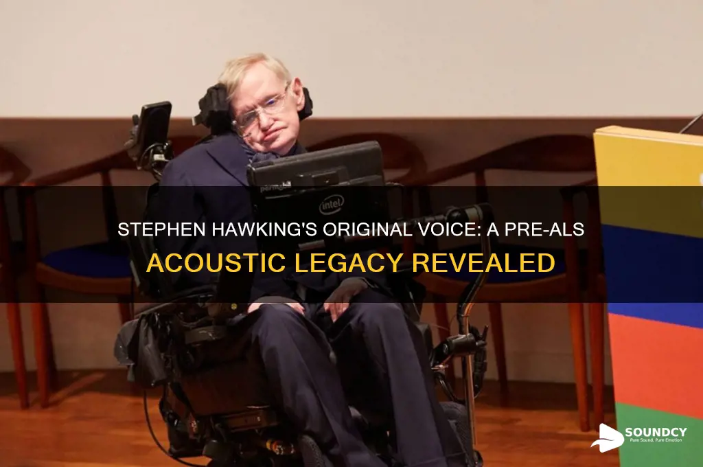 Stephen Hawking's Original Voice: A Pre-Als Acoustic Legacy Revealed ...
