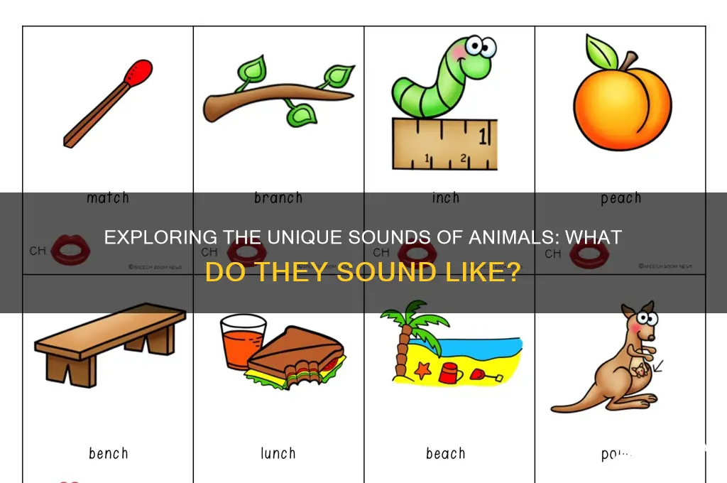 Exploring The Unique Sounds Of Animals: What Do They Sound Like? | SoundCy