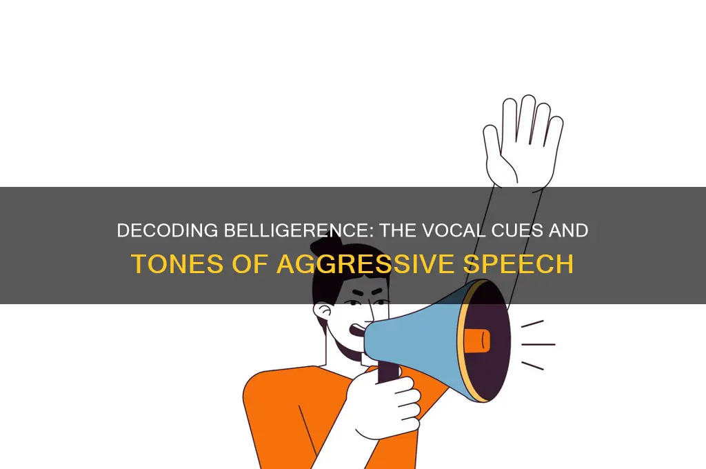 Decoding Belligerence: The Vocal Cues And Tones Of Aggressive Speech ...