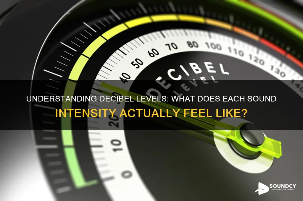 Understanding Decibel Levels: What Does Each Sound Intensity Actually ...