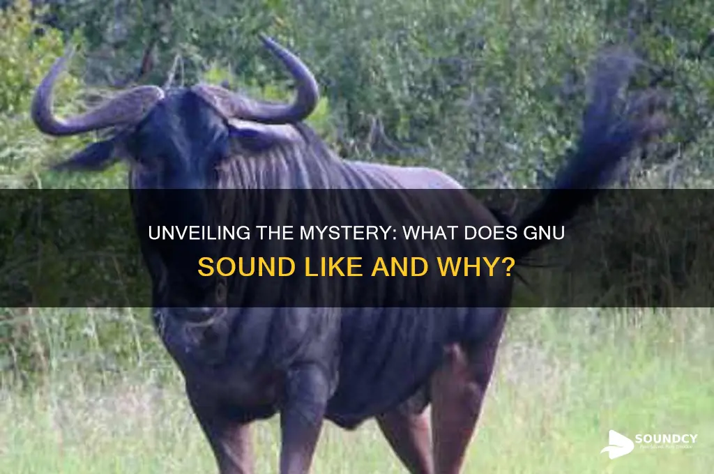 Unveiling The Mystery: What Does Gnu Sound Like And Why? | SoundCy