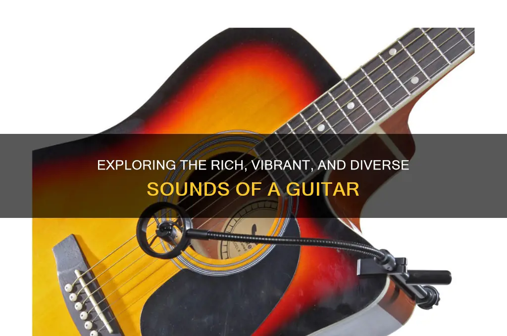 Exploring The Rich, Vibrant, And Diverse Sounds Of A Guitar | SoundCy