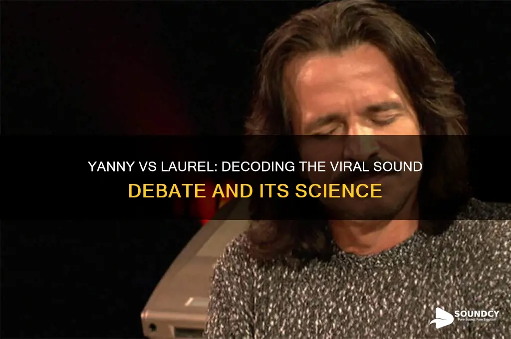 Yanny Vs Laurel: Decoding The Viral Sound Debate And Its Science | SoundCy