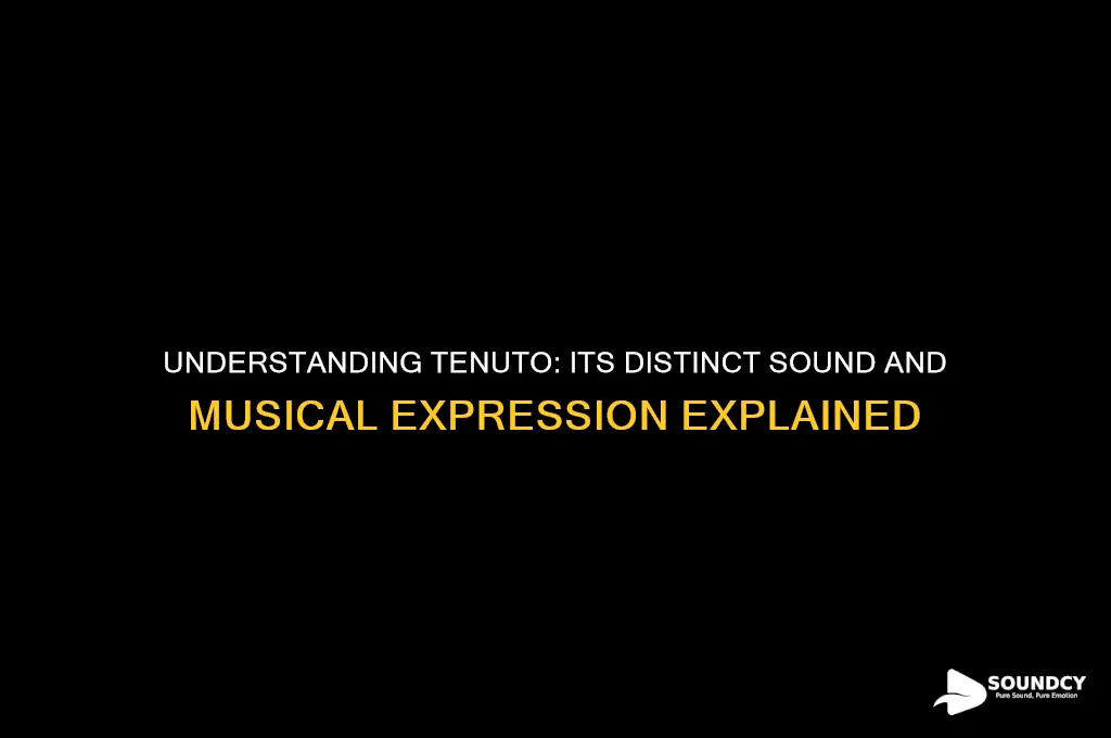 Understanding Tenuto: Its Distinct Sound And Musical Expression ...