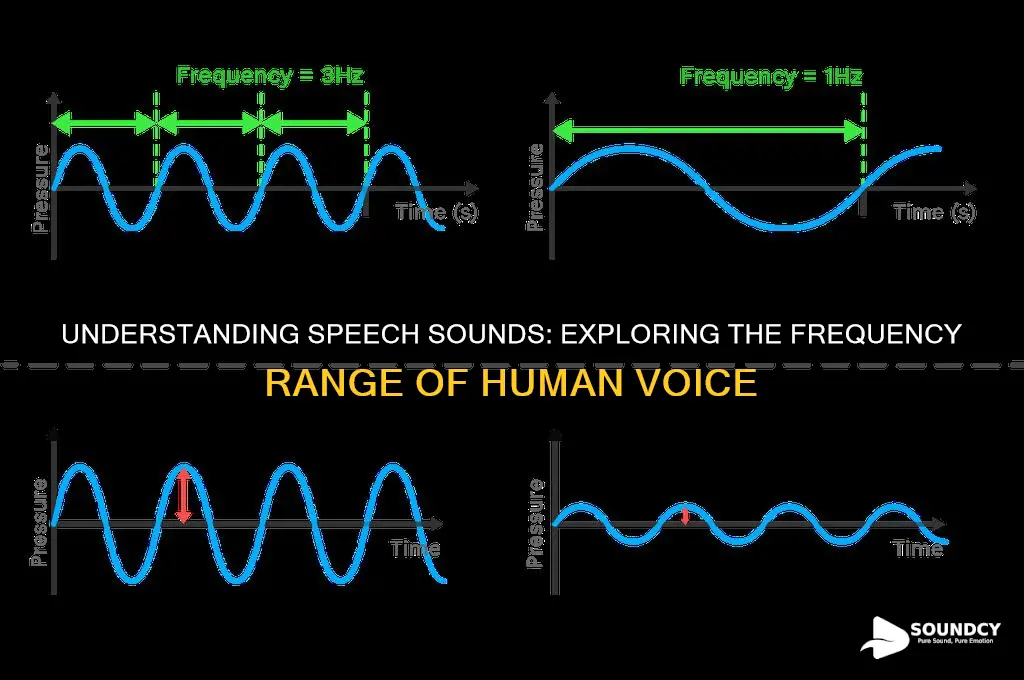 Understanding Speech Sounds: Exploring The Frequency Range Of Human ...