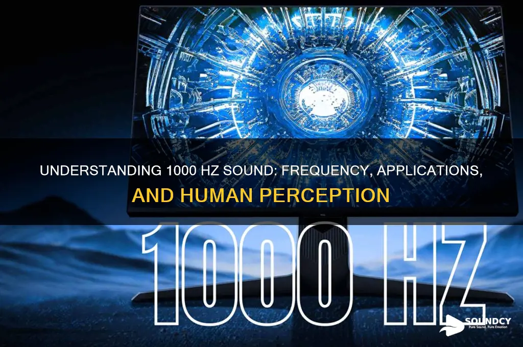 Understanding 1000 Hz Sound: Frequency, Applications, And Human ...