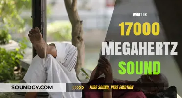Understanding 2000 Hz Sound: Frequency, Applications, And Human ...