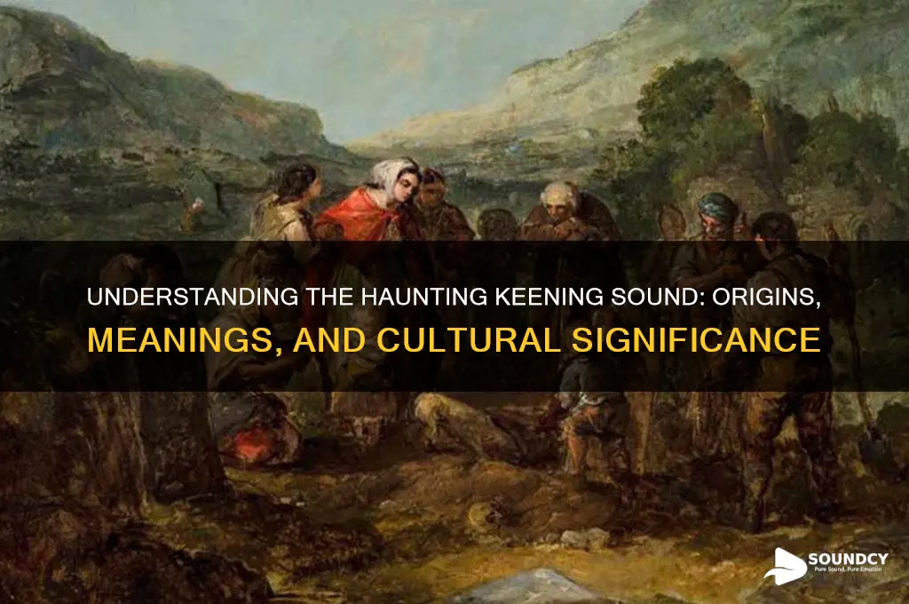 Understanding The Haunting Keening Sound: Origins, Meanings, And ...