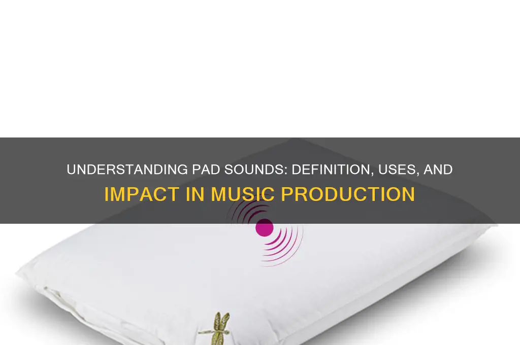Understanding Pad Sounds: Definition, Uses, And Impact In Music ...