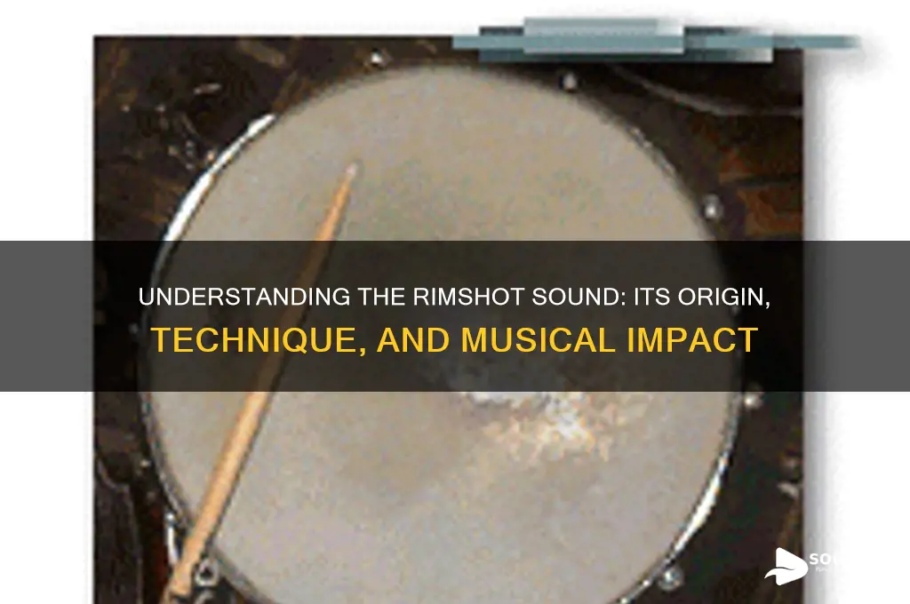 Understanding The Rimshot Sound: Its Origin, Technique, And Musical ...