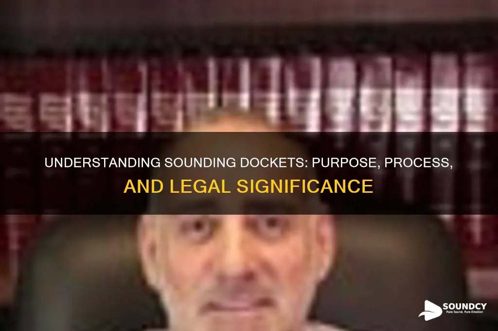 Understanding Sounding Dockets: Purpose, Process, And Legal ...
