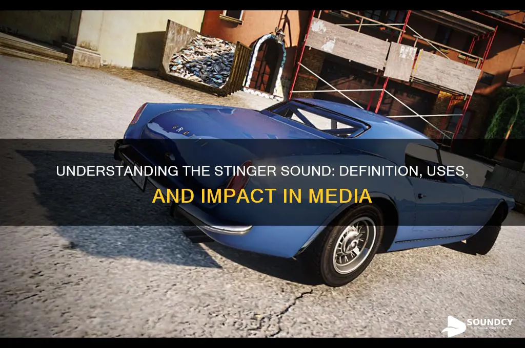 Understanding The Stinger Sound: Definition, Uses, And Impact In Media ...