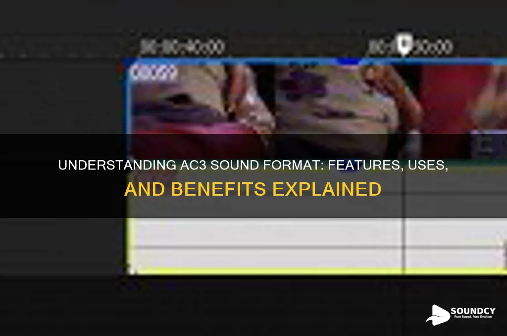 Understanding Ac3 Sound Format: Features, Uses, And Benefits Explained ...
