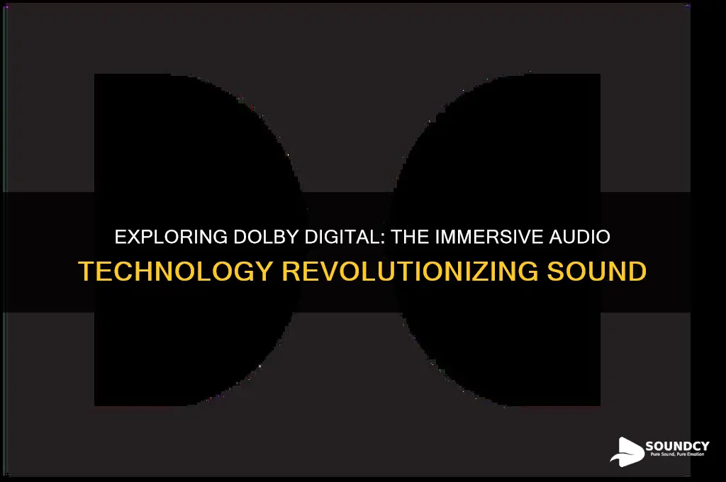 Exploring Dolby Digital: The Immersive Audio Technology Revolutionizing ...