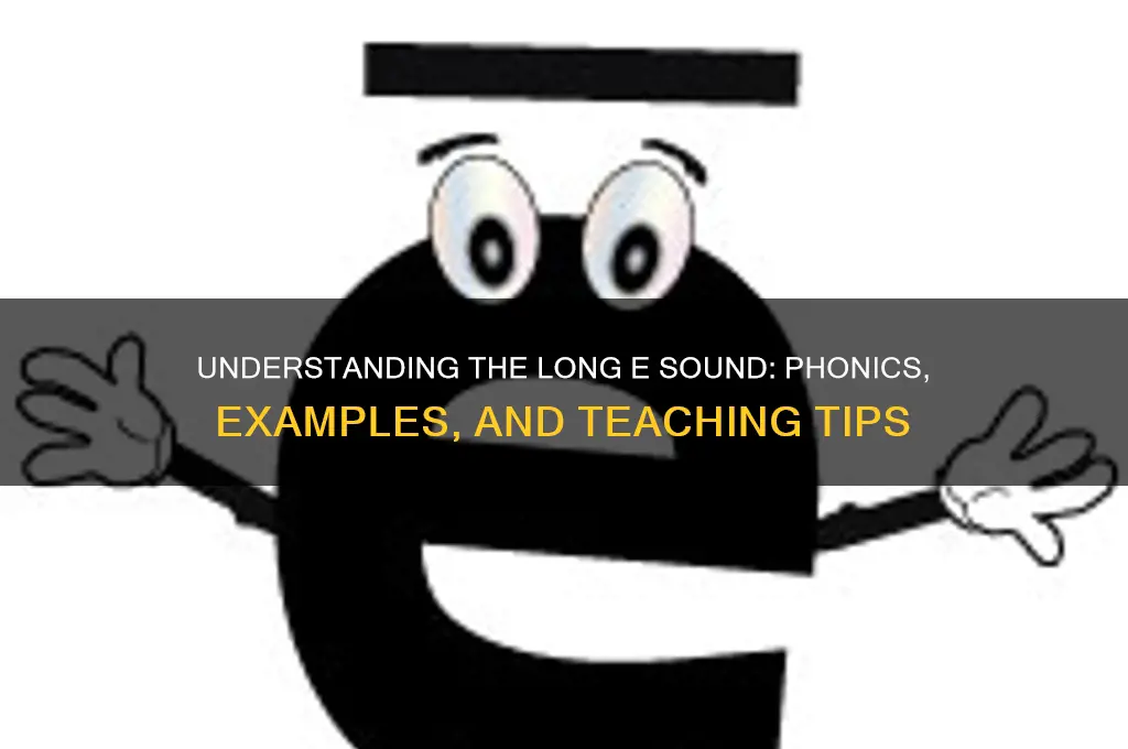 Understanding The Long E Sound: Phonics, Examples, And Teaching Tips ...
