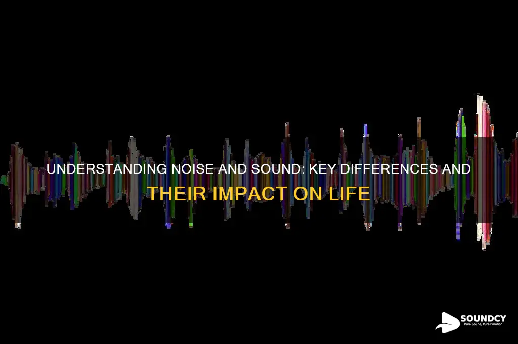 Understanding Noise And Sound: Key Differences And Their Impact On Life ...