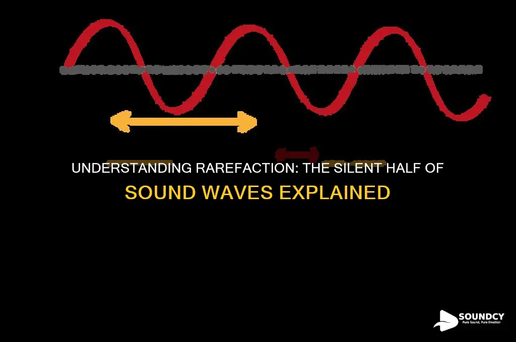 Understanding Rarefaction: The Silent Half Of Sound Waves Explained ...