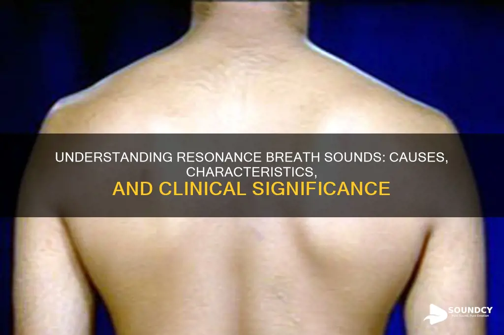 Understanding Resonance Breath Sounds: Causes, Characteristics, And ...