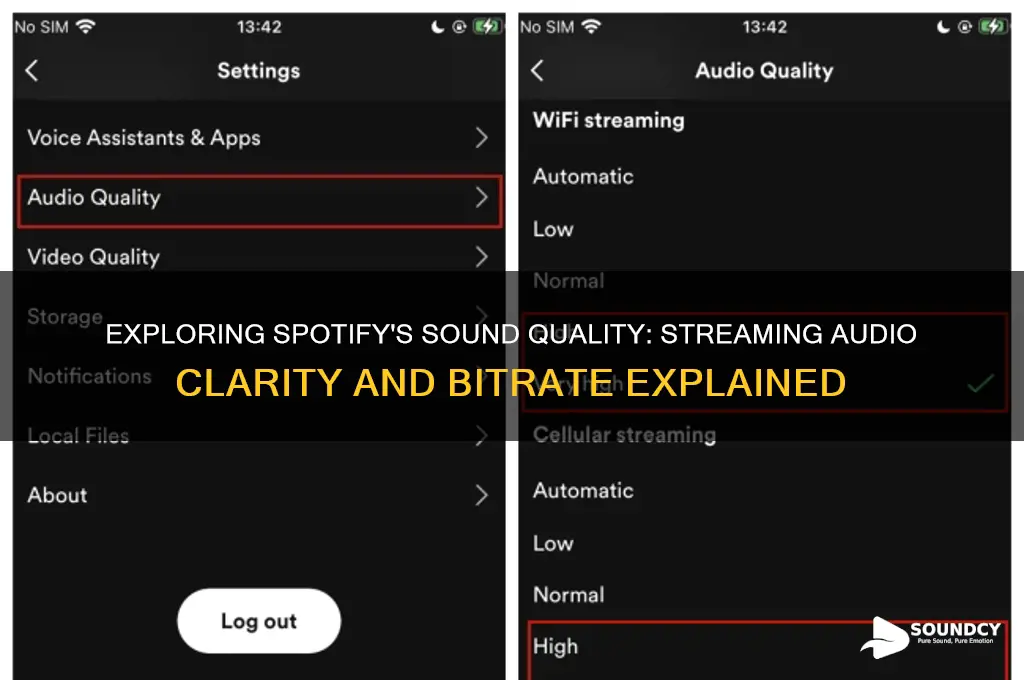 Exploring Spotify's Sound Quality: Streaming Audio Clarity And Bitrate ...