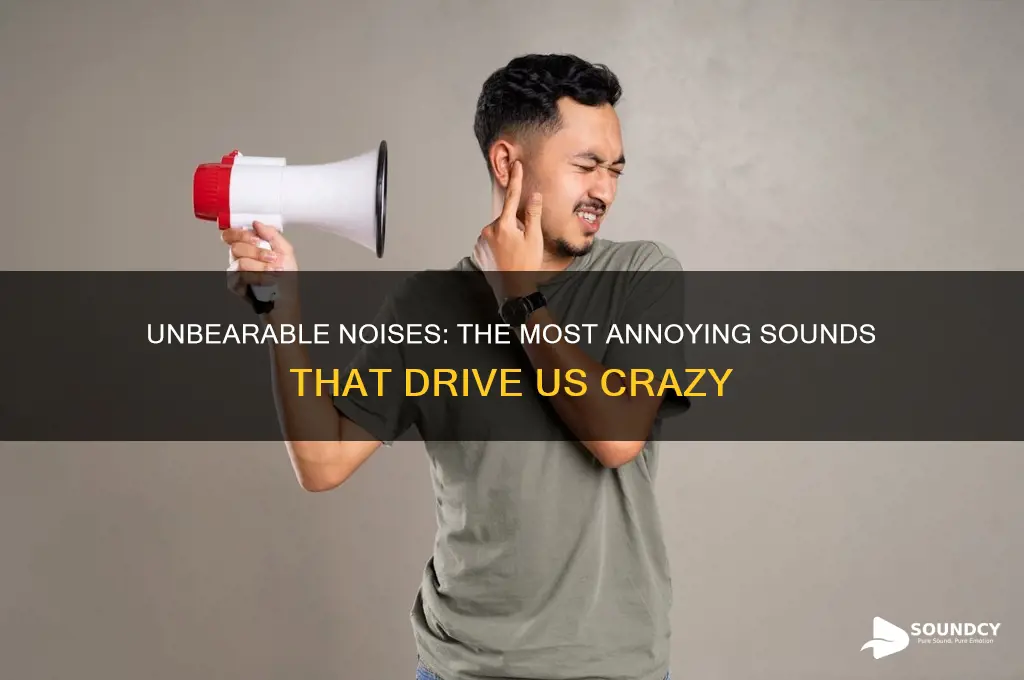 Unbearable Noises: The Most Annoying Sounds That Drive Us Crazy | SoundCy
