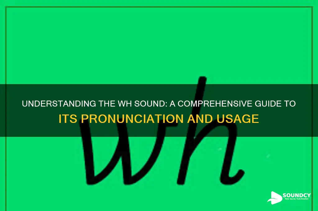 Understanding The Wh Sound: A Comprehensive Guide To Its Pronunciation ...