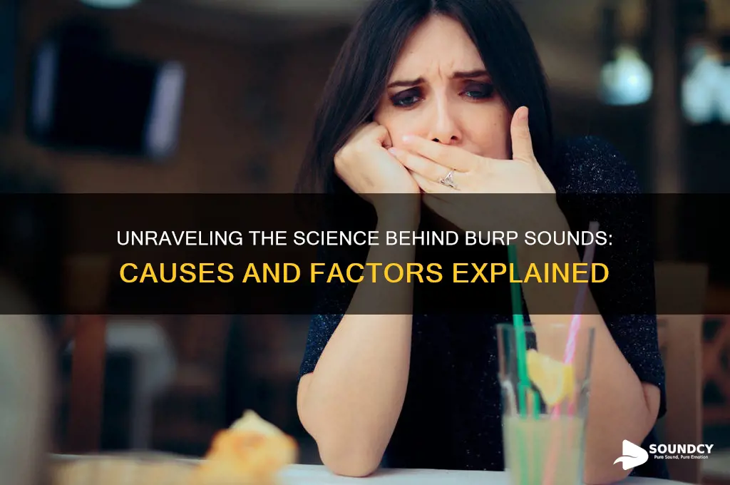 Unraveling The Science Behind Burp Sounds: Causes And Factors Explained ...