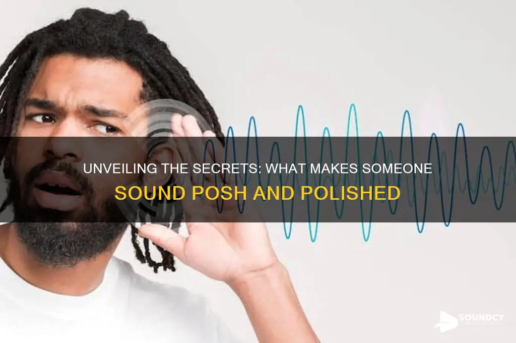 Unveiling The Secrets: What Makes Someone Sound Posh And Polished | SoundCy