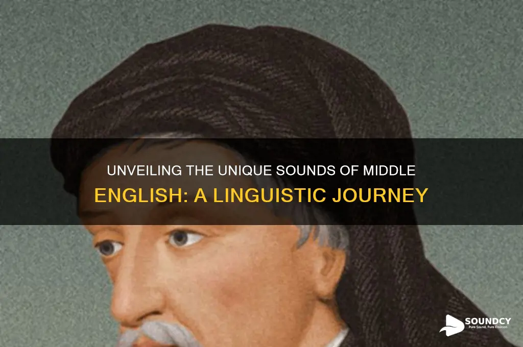 Unveiling The Unique Sounds Of Middle English: A Linguistic Journey ...