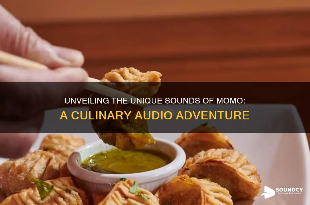 Unveiling The Unique Sounds Of Momo: A Culinary Audio Adventure | SoundCy