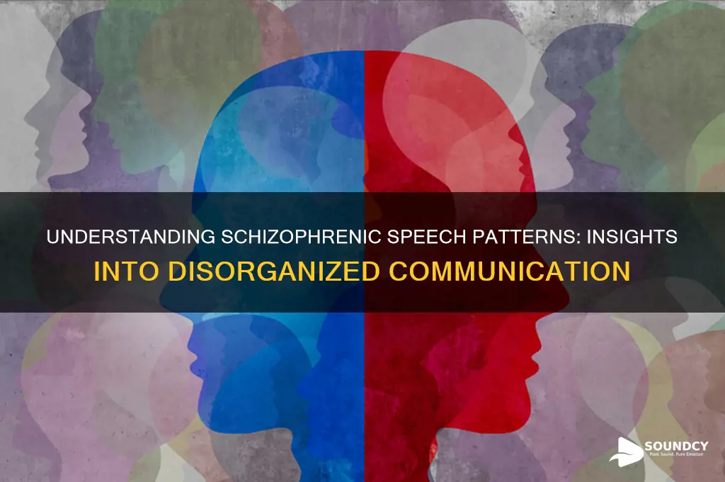 Understanding Schizophrenic Speech Patterns: Insights Into Disorganized ...