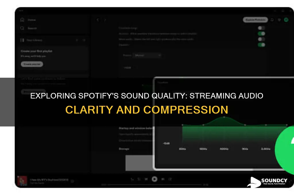 Exploring Spotify's Sound Quality: Streaming Audio Clarity And ...