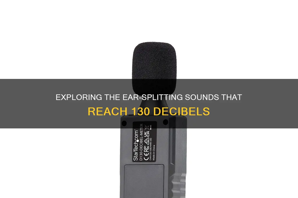 Exploring The Ear-Splitting Sounds That Reach 130 Decibels | SoundCy