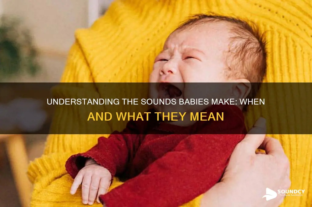 Understanding The Sounds Babies Make: When And What They Mean | SoundCy