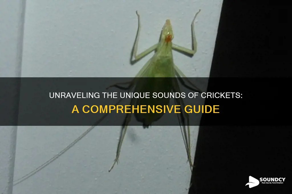 Unraveling The Unique Sounds Of Crickets: A Comprehensive Guide | SoundCy