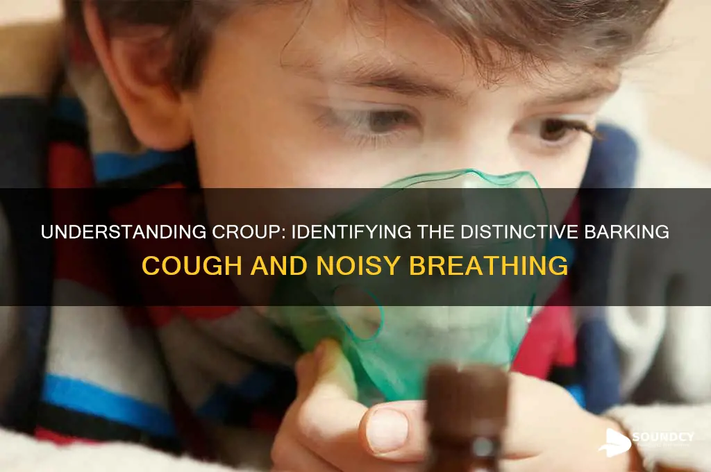 Understanding Croup: Identifying The Distinctive Barking Cough And ...