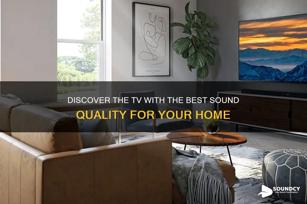 Discover The Tv With The Best Sound Quality For Your Home | SoundCy