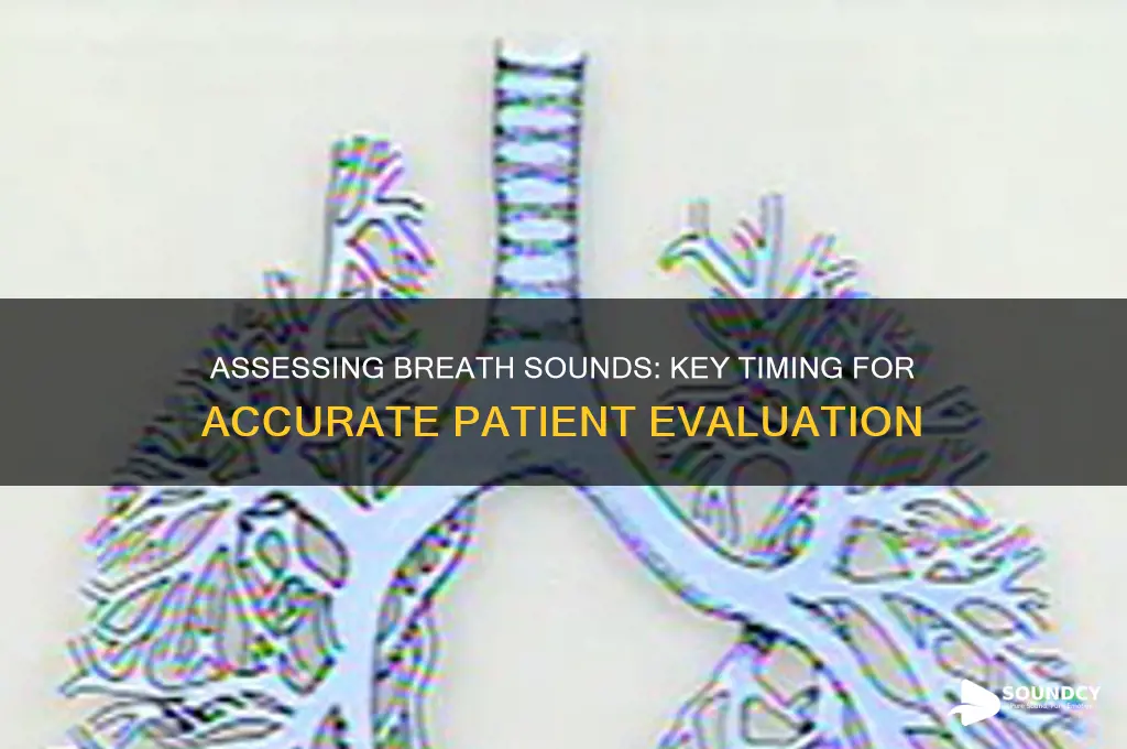Assessing Breath Sounds: Key Timing For Accurate Patient Evaluation ...