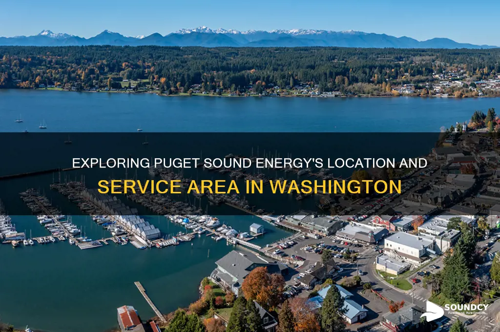 Exploring Puget Sound Energy's Location And Service Area In Washington ...